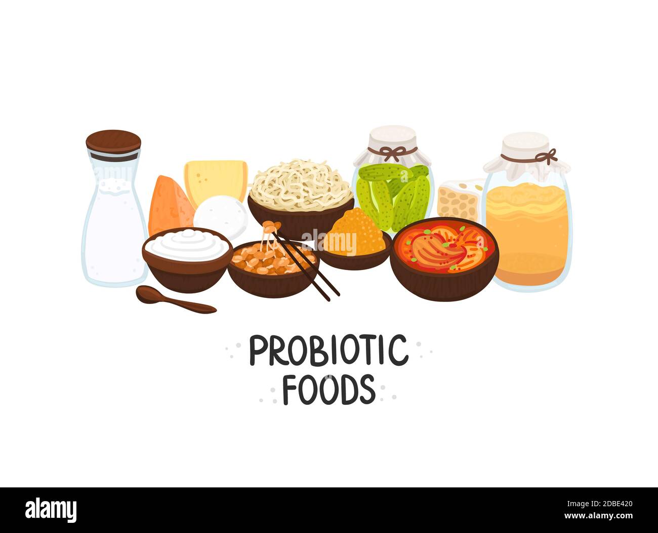 Vector Probiotic Foods Best Sources Of Probiotics Beneficial Bacteria