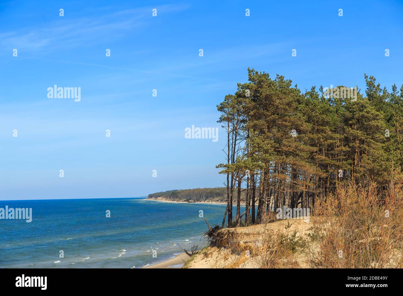 Baltic Sea coast in Latvia. Sand dunes with pines and clouds. Typical ...