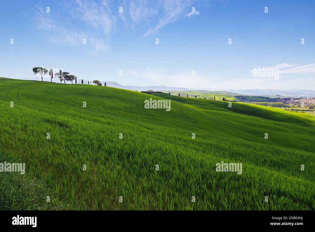 Green hillside field with long shadows in Tuscany, Italy Stock Photo ...