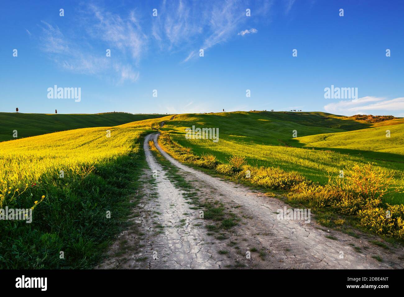 Italy spring countryside landscape dirty road and farmland in Tuscany ...