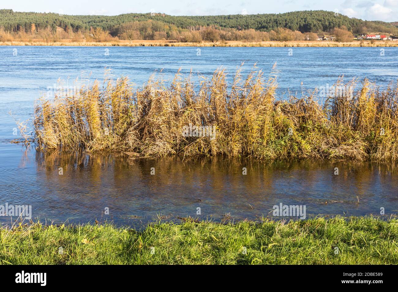 At the river Oder Stock Photo - Alamy