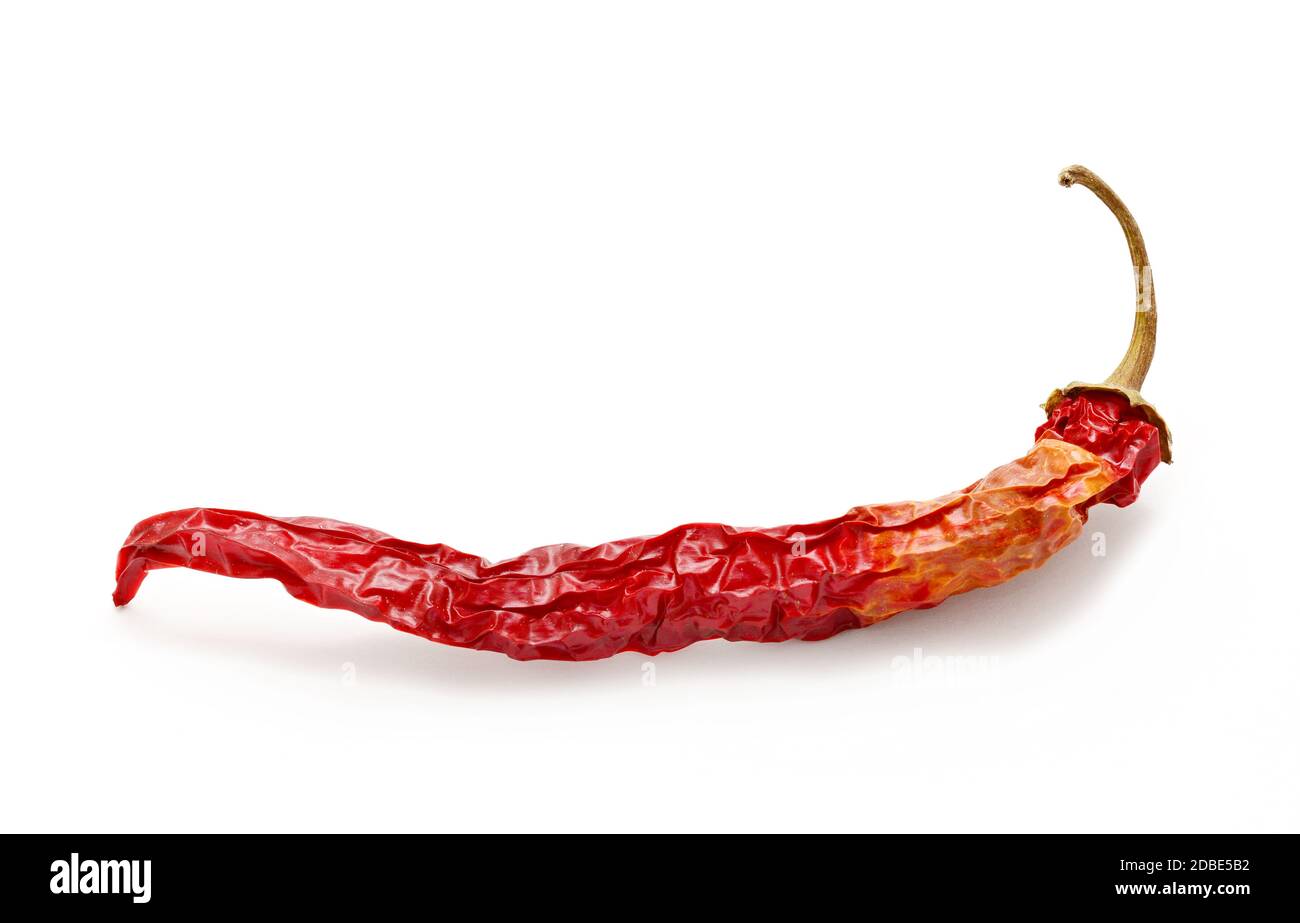 Closeup of single dried red hot chilli pepper on white background Stock ...