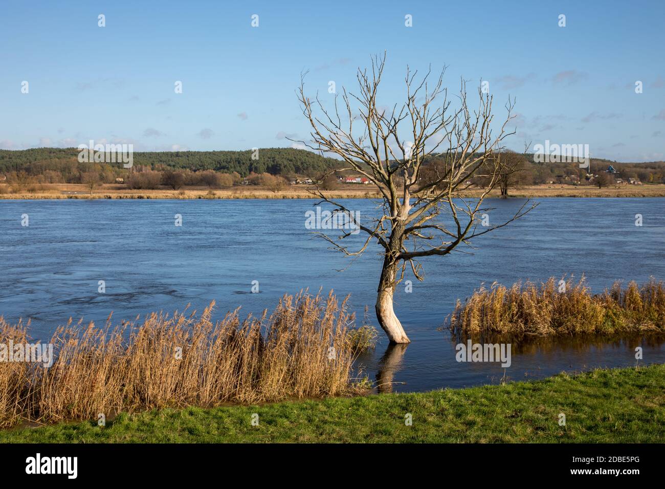 At the river Oder Stock Photo - Alamy