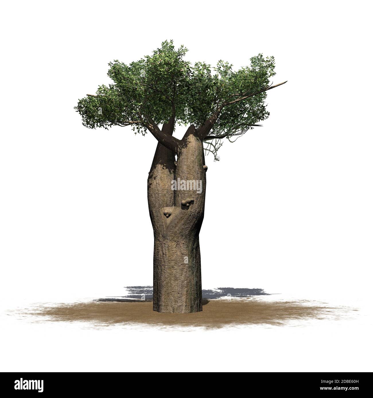 Landscape big baobab tree Cut Out Stock Images & Pictures - Alamy