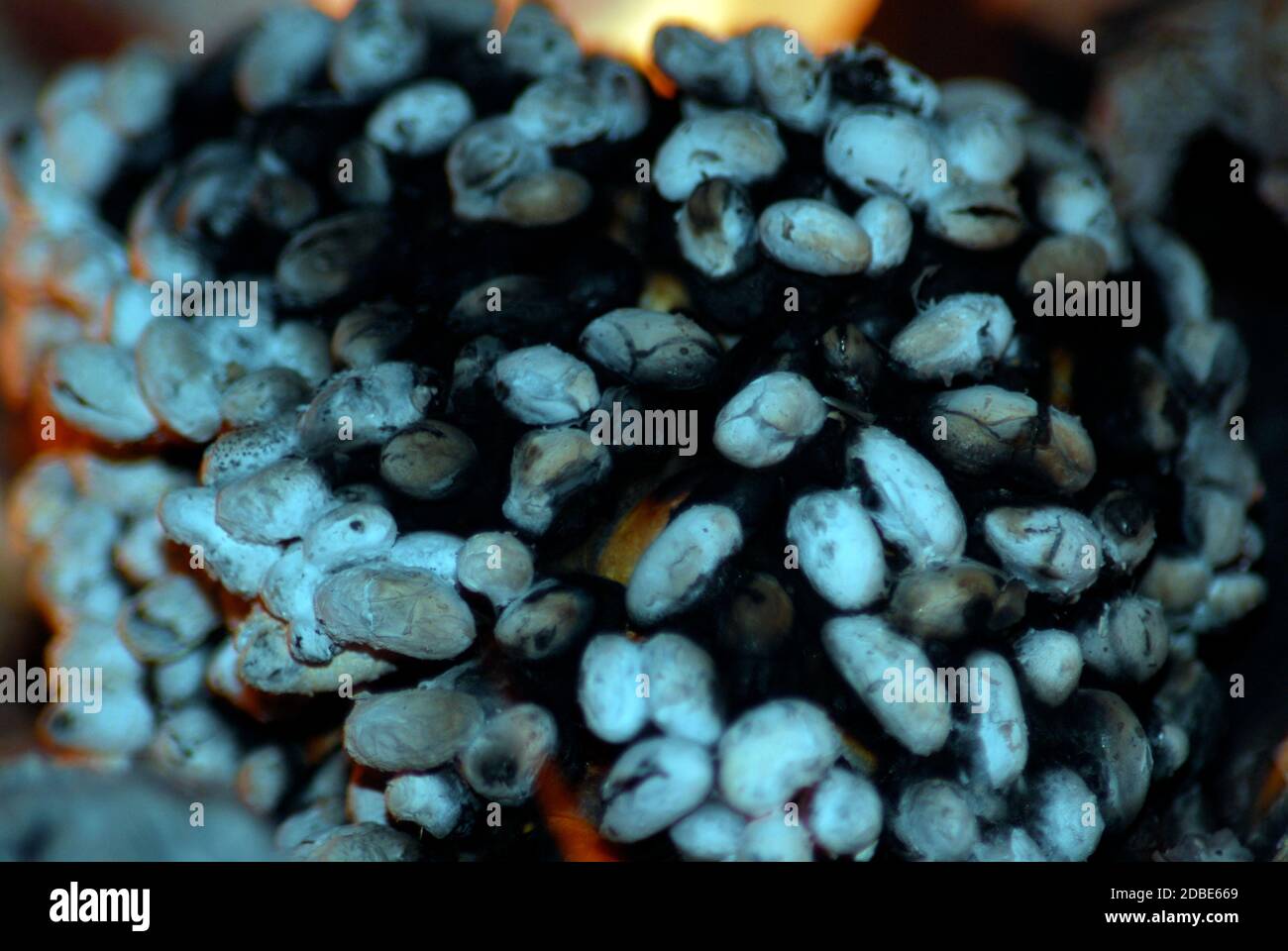 the color blue, associated with harmony, cold, infinity and sadness ...