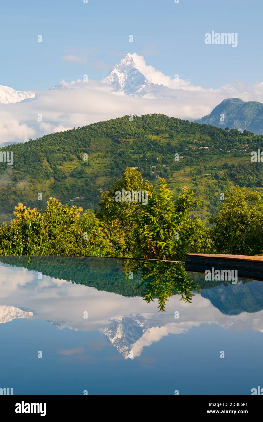 Infinity pool in forest hi-res stock photography and images - Alamy