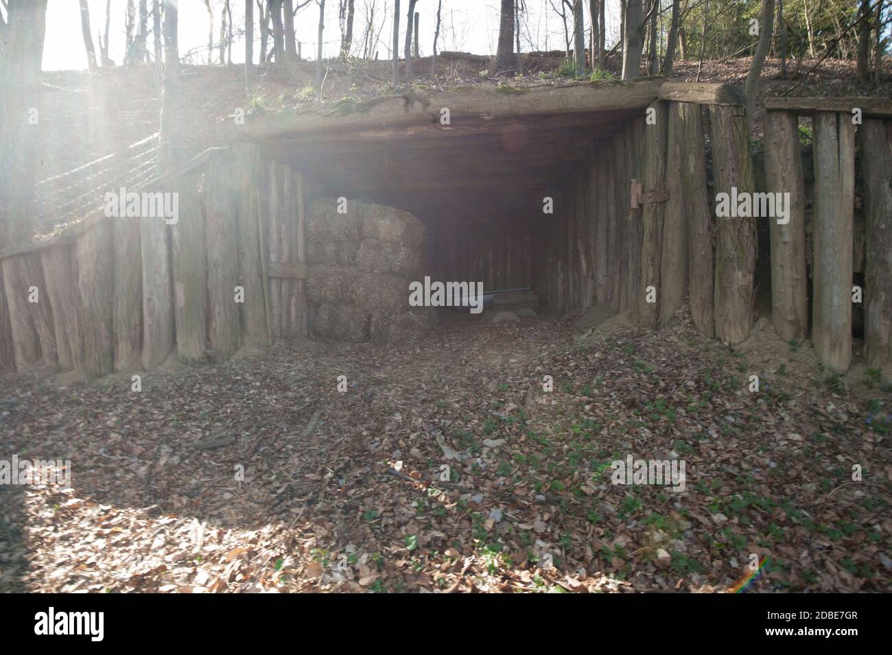 earth staple in wood construction, futuristic and experimental building ...