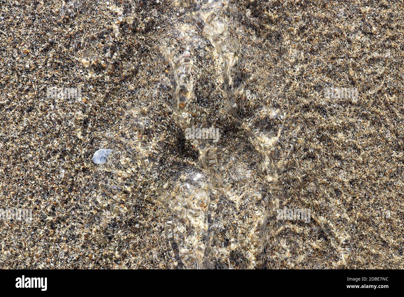 Aqua motion dynamic texture. Clear stream with sand on background Stock ...