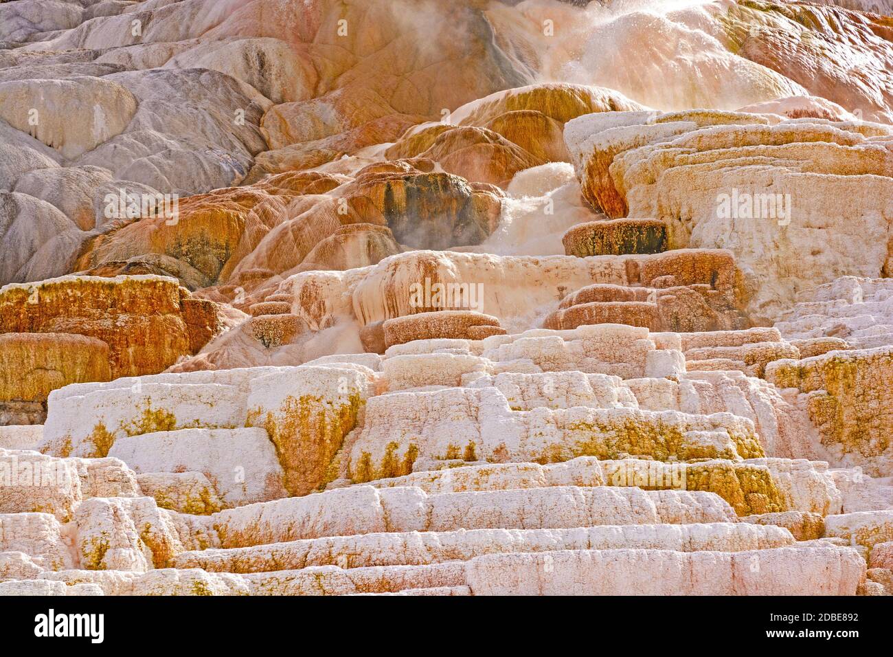Hot Water Rushing Down Limestone Terraces at Mammoth Hot Springs in ...