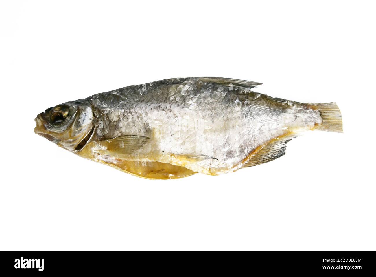 River dead fish Cut Out Stock Images & Pictures - Alamy