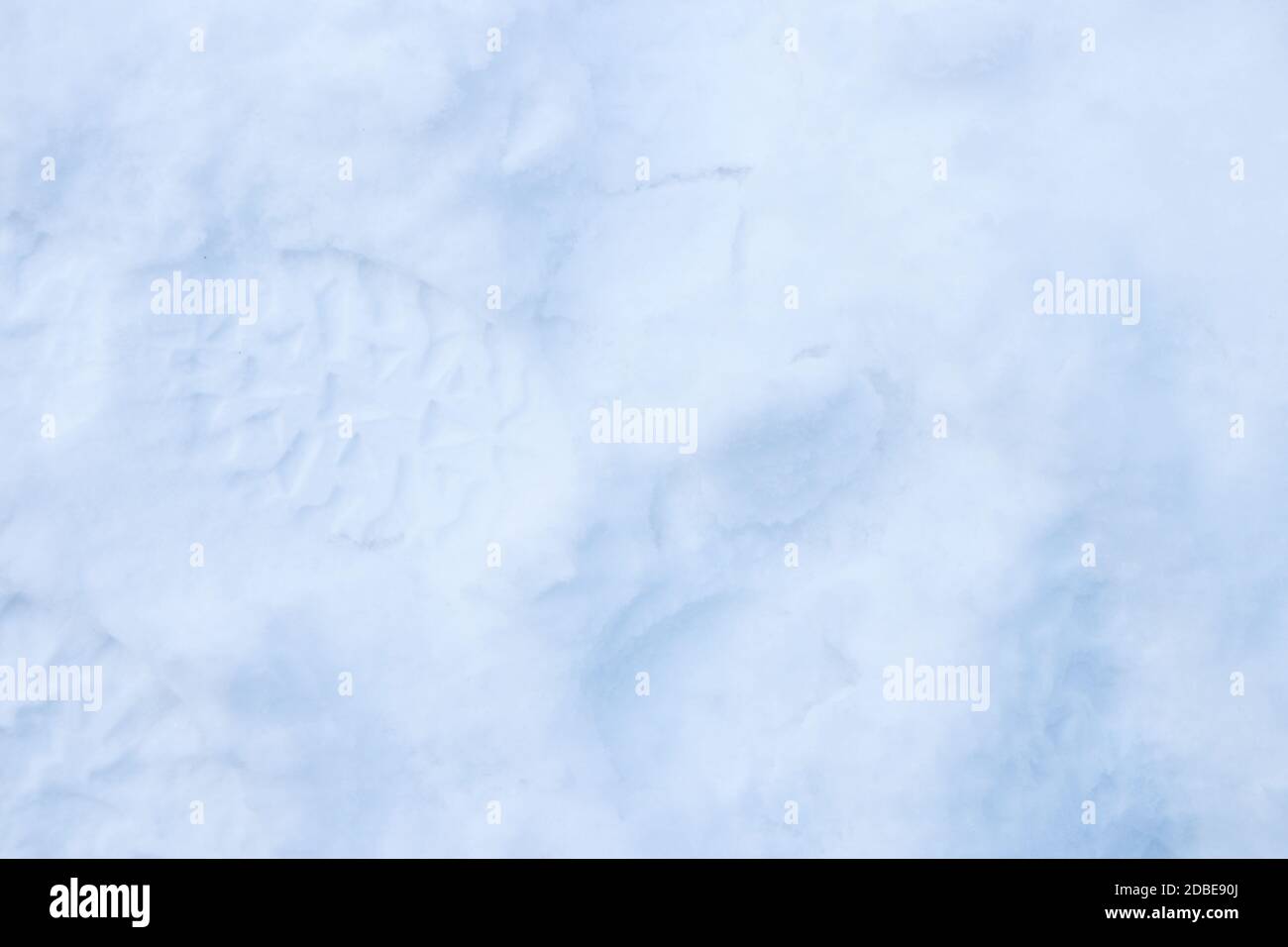 Snow boots tracks surface hi-res stock photography and images - Alamy