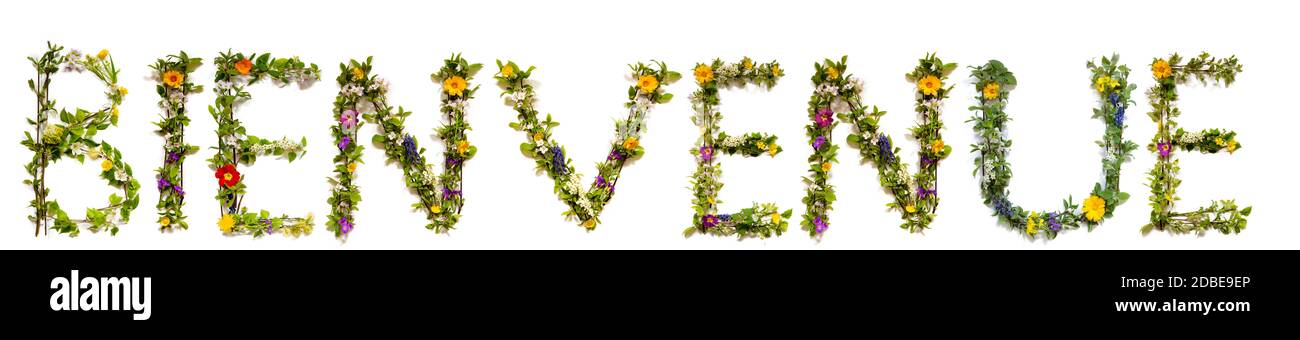 Flower, Branches And Blossom Letter Building French Word Bienvenue ...