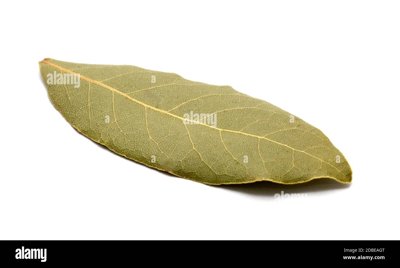 Dried bay leaf hi-res stock photography and images - Alamy