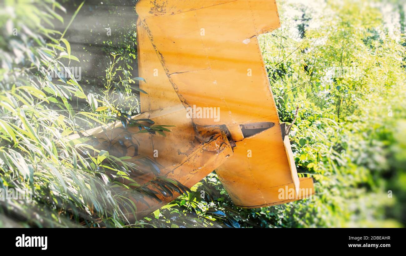 Yellow plane crashes into a bush Stock Photo - Alamy