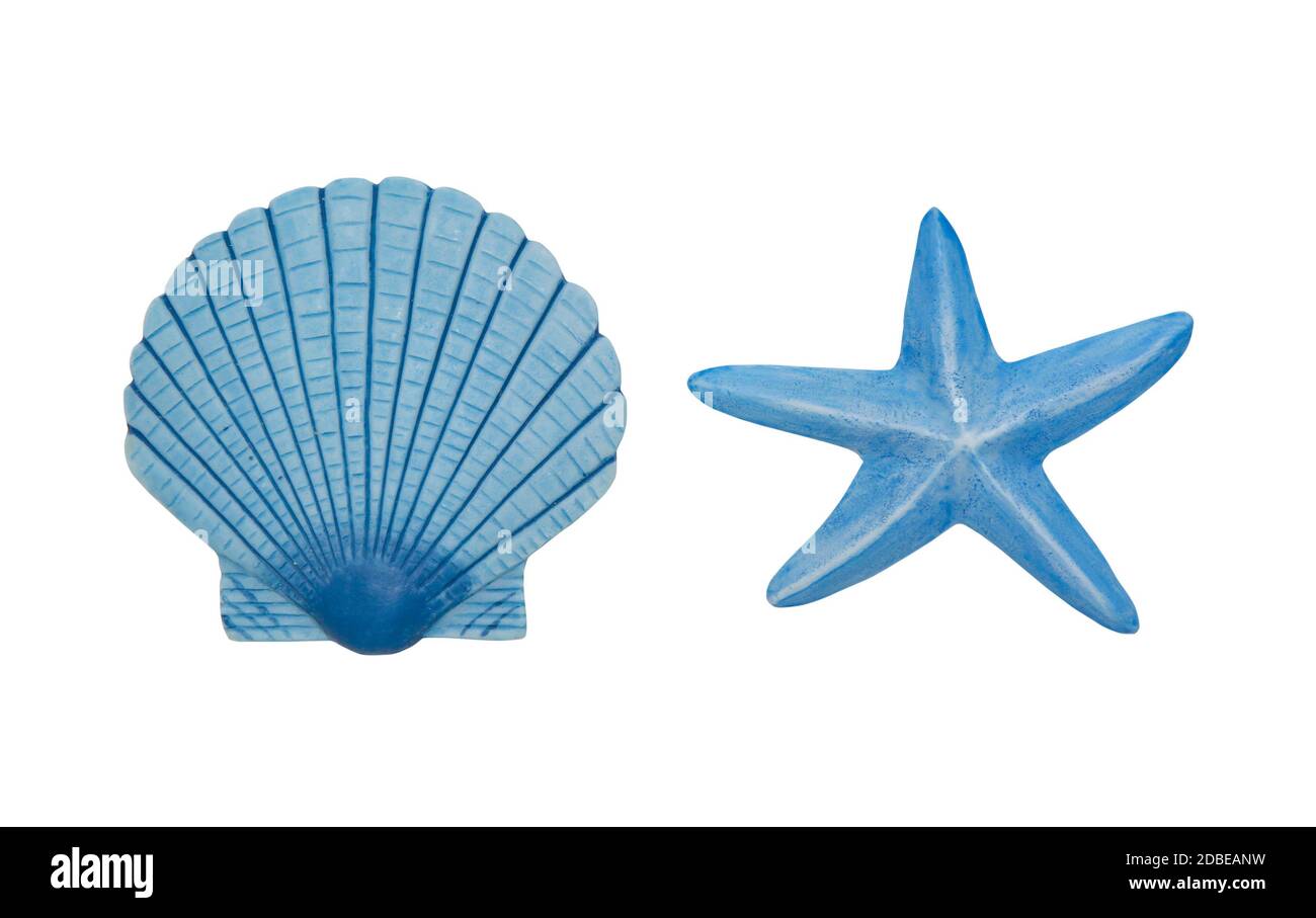 Sea star and shell ornaments isolated with clipping path included Stock ...