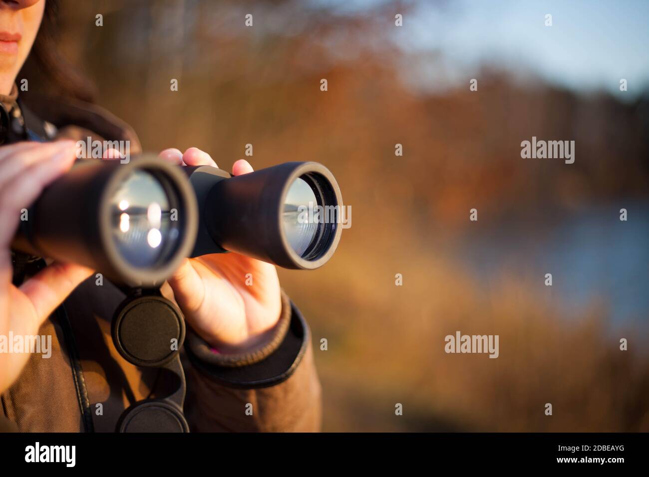 Pretty young woman looking after some animals by professional black ...