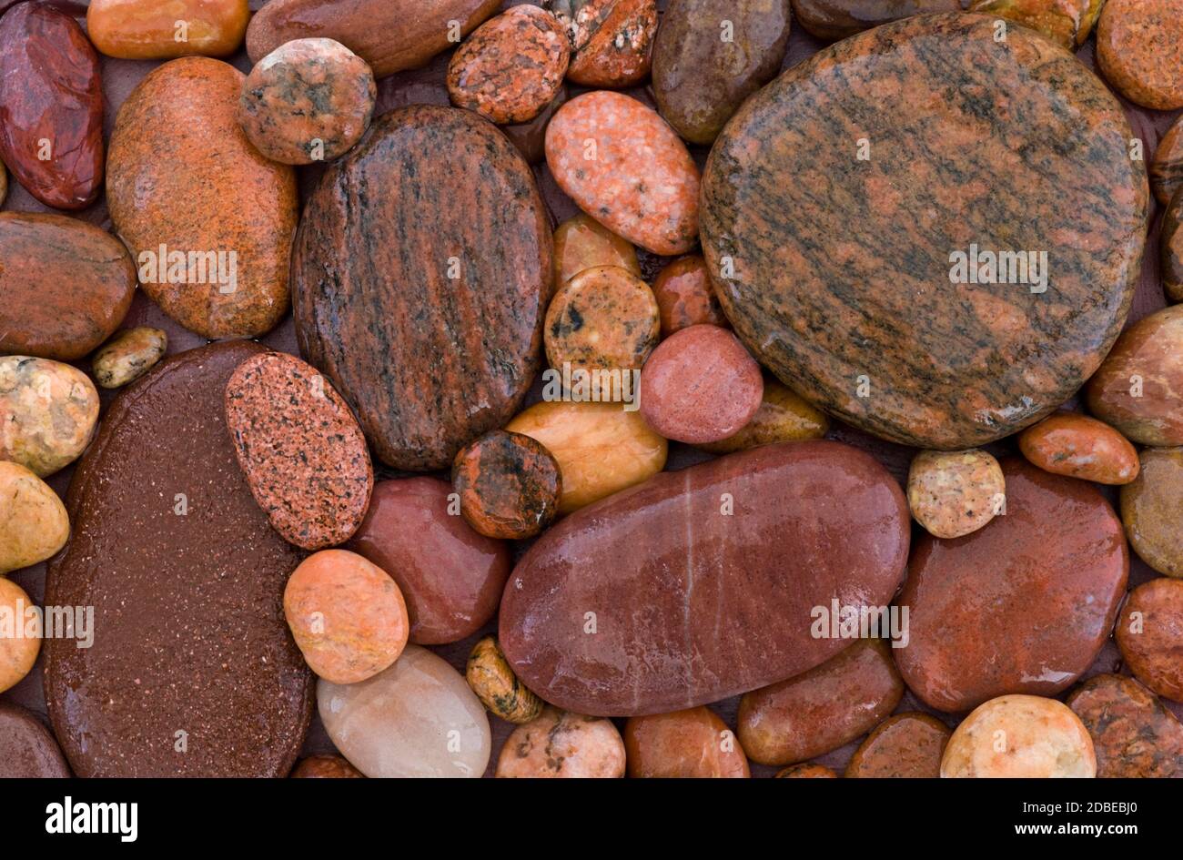 selection of brown ombre wet pebble Stock Photo - Alamy