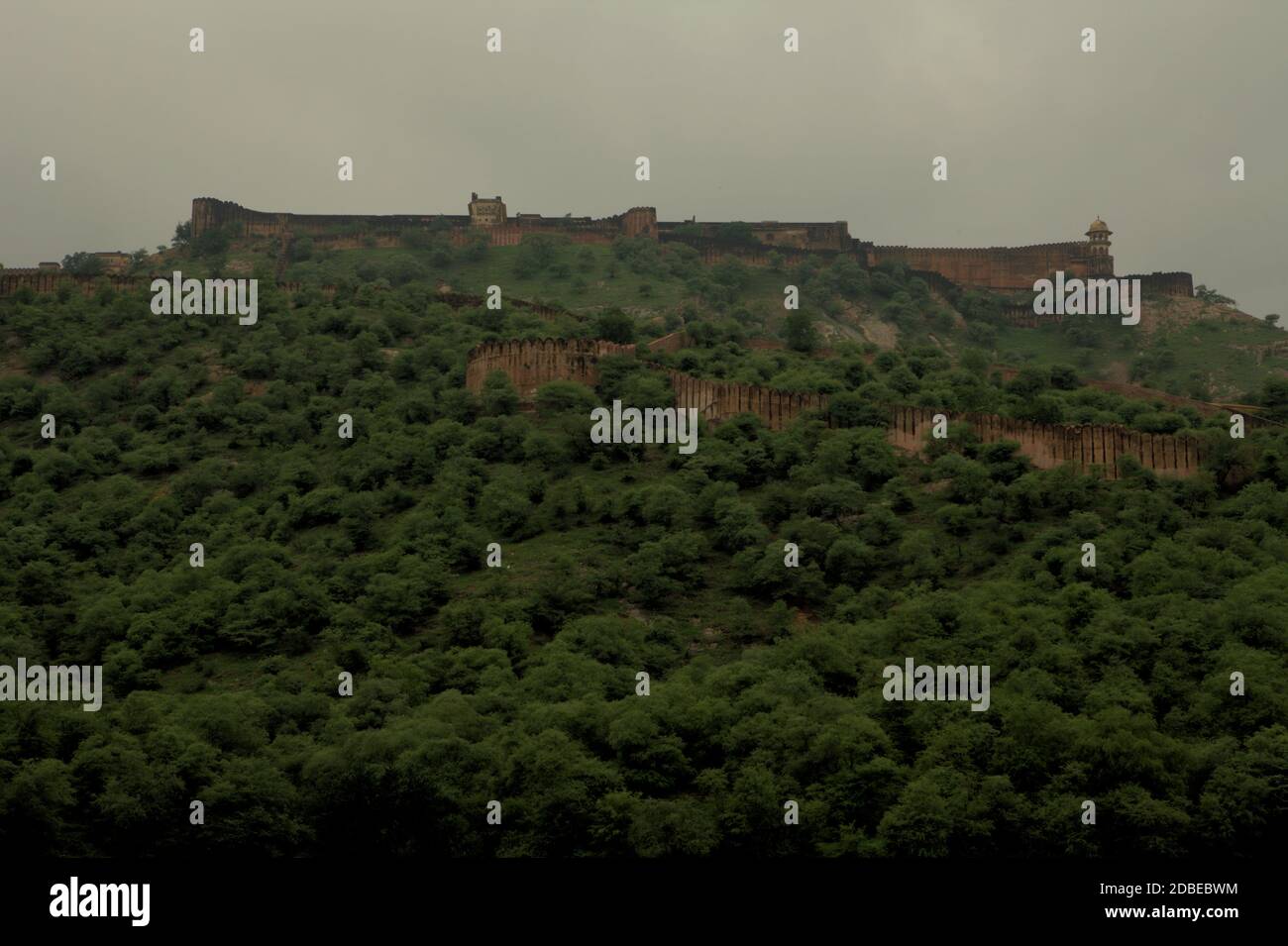 Forested landscape of Hill of Eagles (Cheel ka Teela) and a part of ...