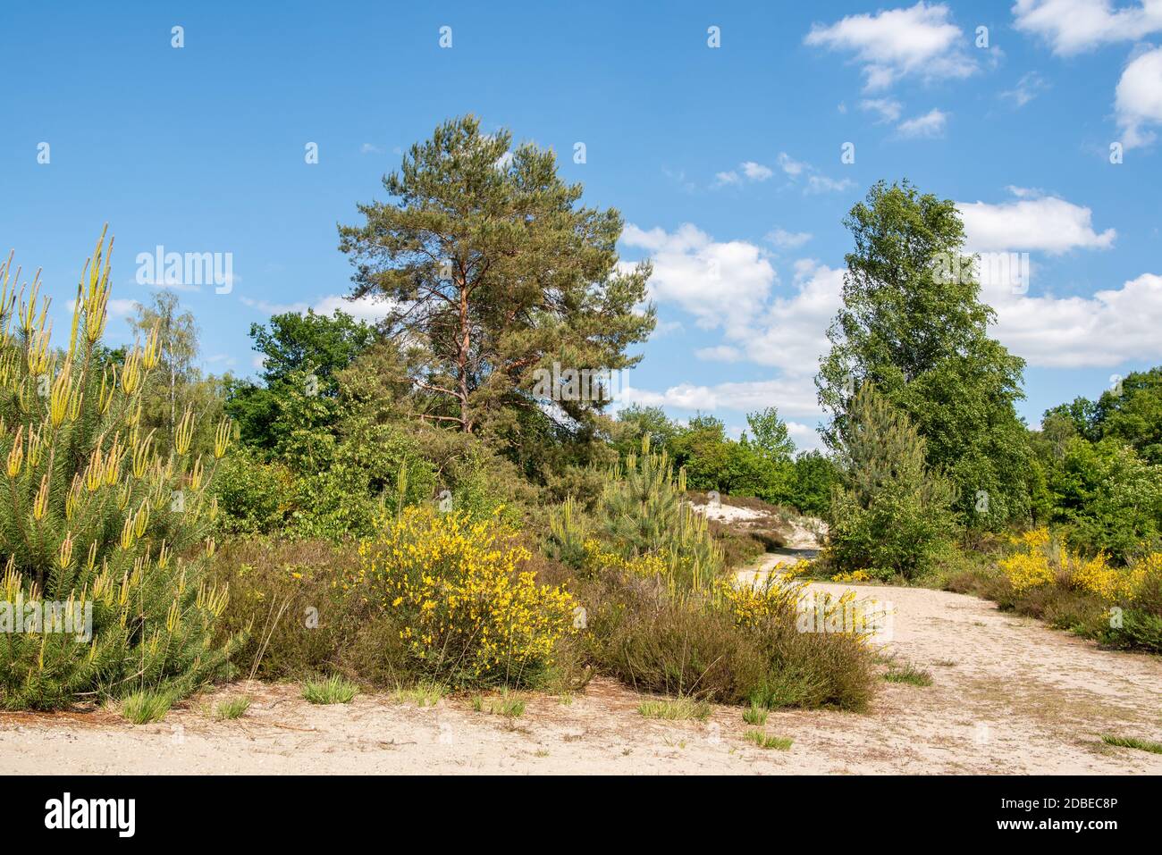 Heide terrace hi-res stock photography and images - Alamy