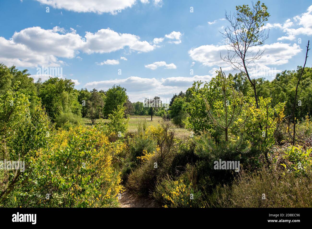 Wahner heide hi-res stock photography and images - Alamy