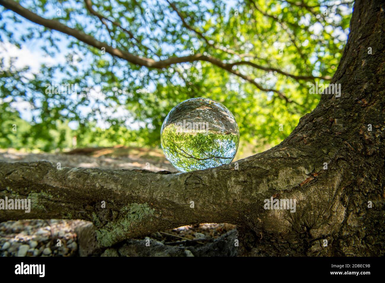 Lens ball photography Stock Photo - Alamy