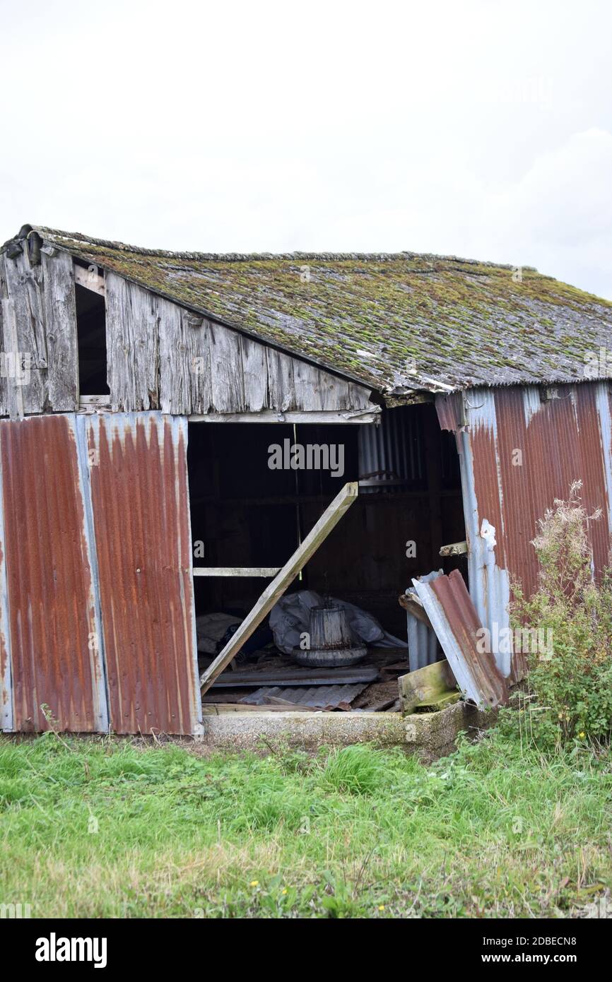disused corrugated iron shed Stock Photo - Alamy