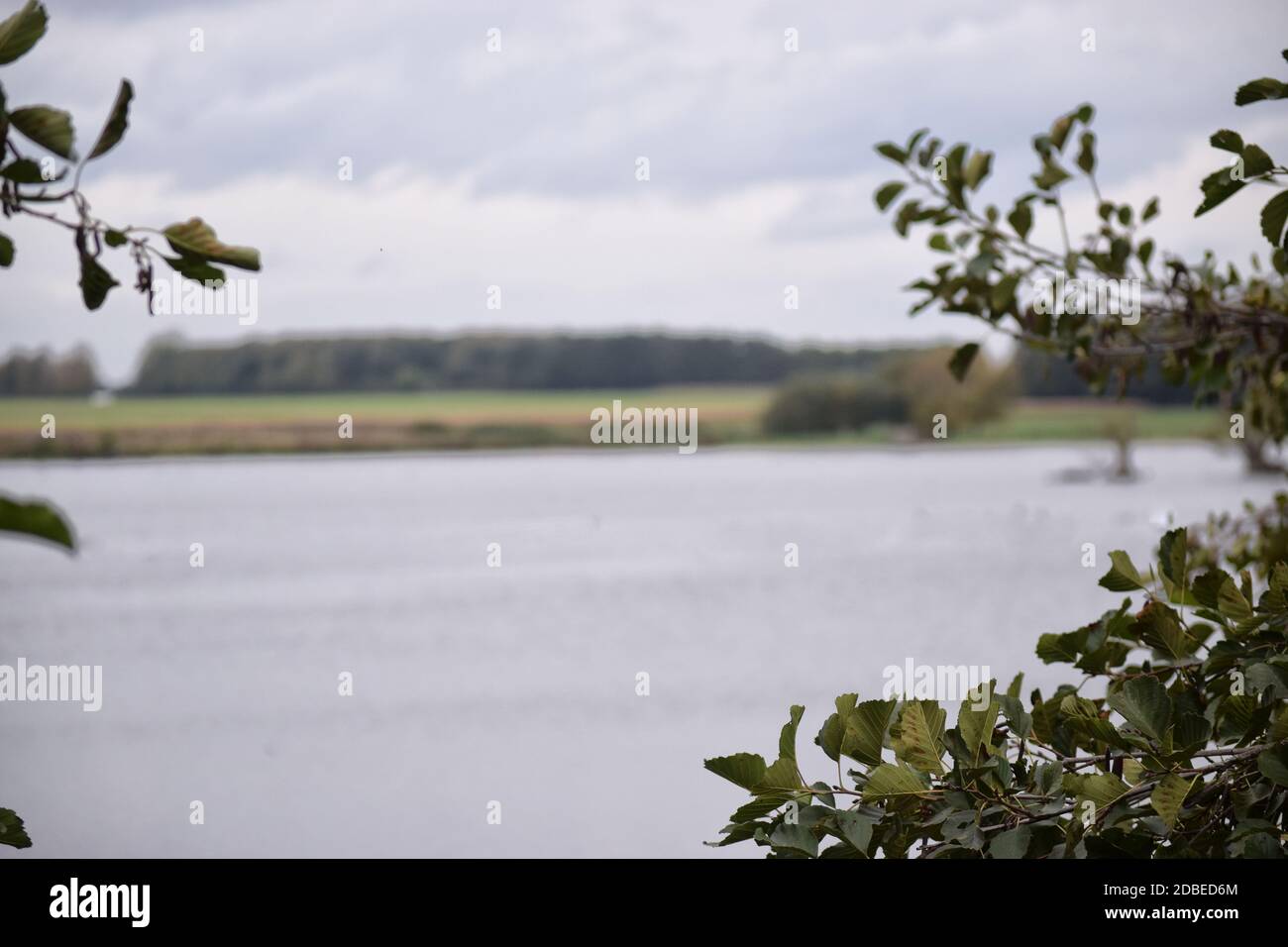 Livermere lake, Ampton water, suffolk, england, uk Stock Photo - Alamy