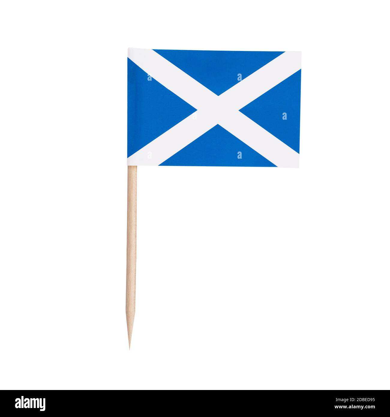 Miniature paper flag Scotland. Isolated Scottish toothpick flag pointer ...