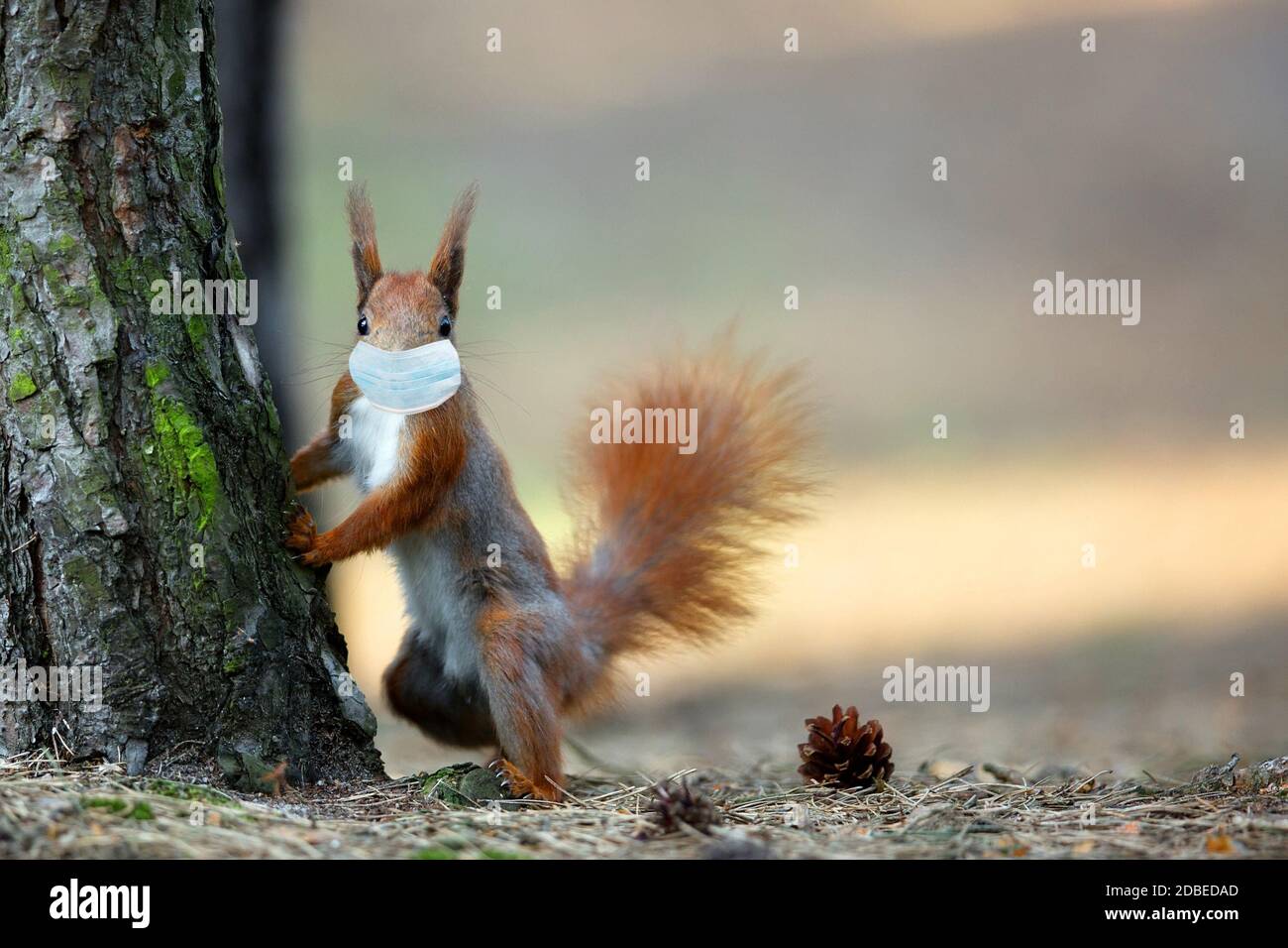 Animal funny mask hi-res stock photography and images - Alamy