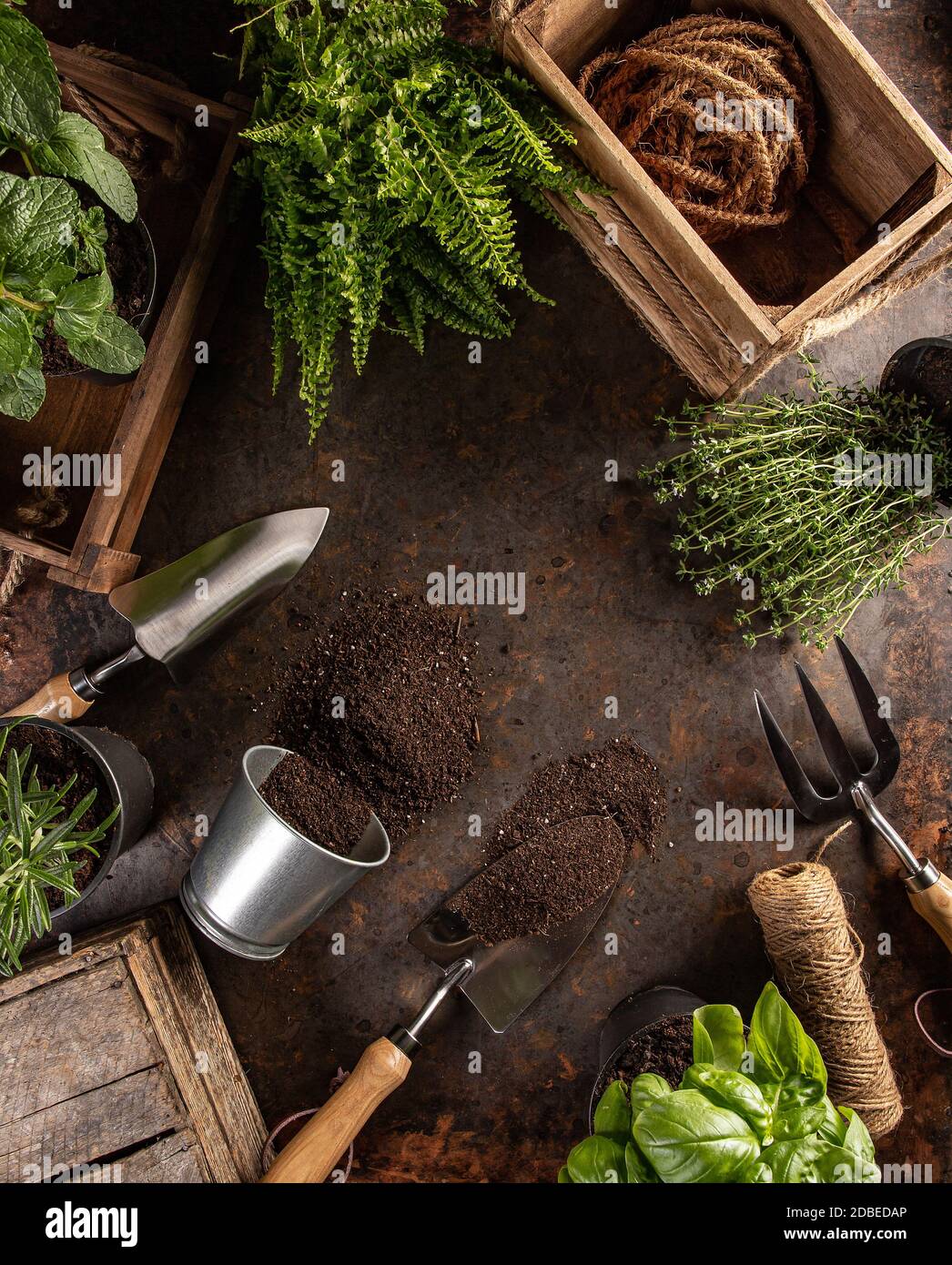 Spring garden works concept on grungy dark background Stock Photo - Alamy