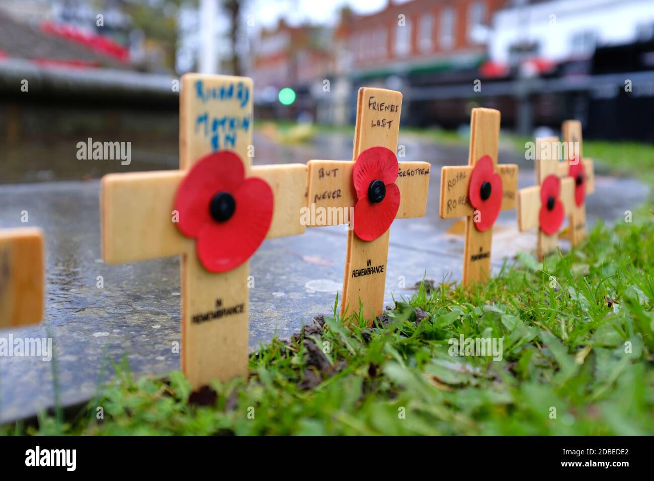 Remembrance Sunday crosses in England Stock Photo - Alamy