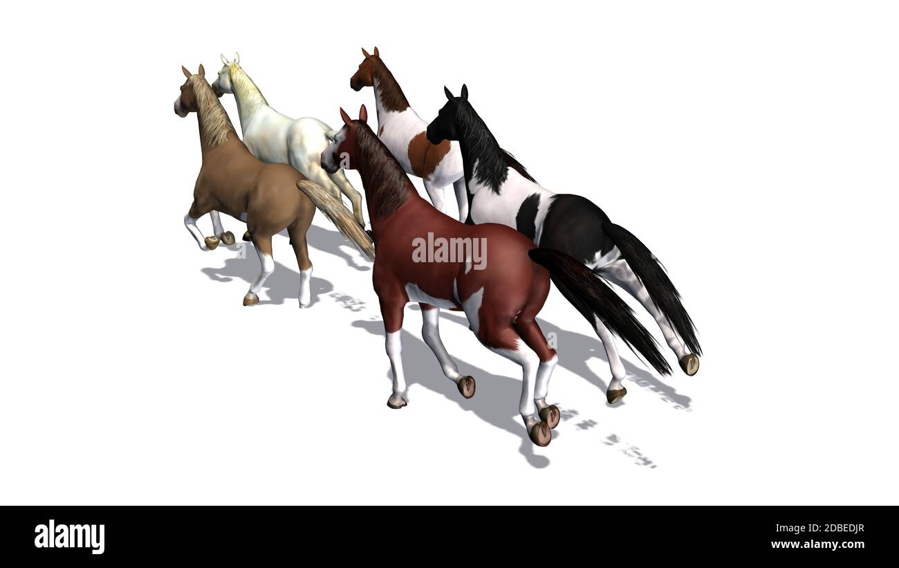 Horses - running herd with shadow on the floor Stock Photo - Alamy