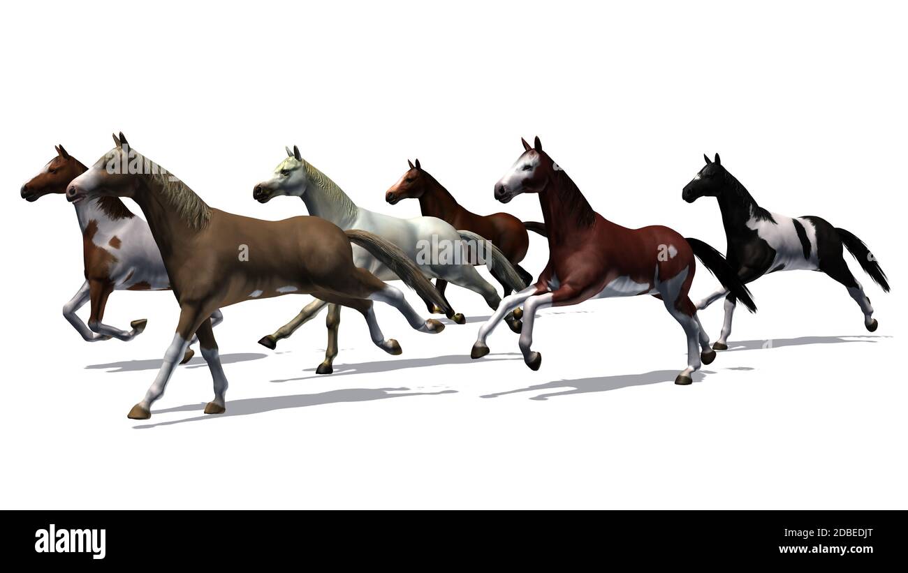Horses - running herd with shadow on the floor Stock Photo - Alamy