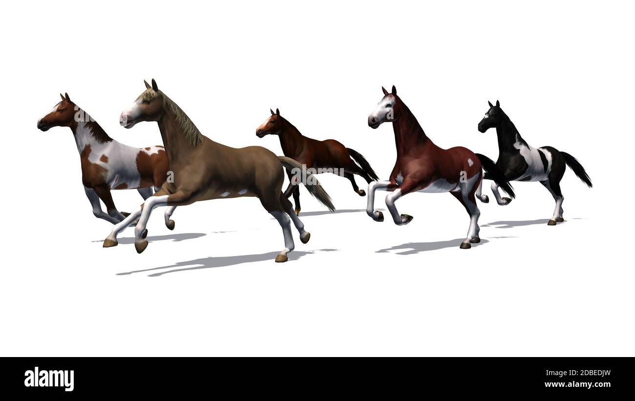 Horses - running herd with shadow on the floor Stock Photo - Alamy