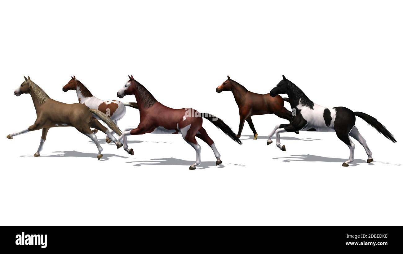 Horses run dust herd Cut Out Stock Images & Pictures - Alamy