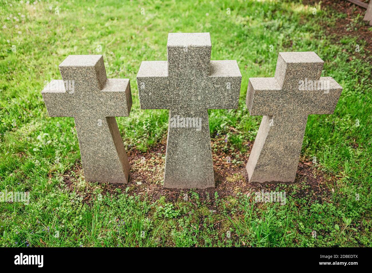 Three stone crosses in the cemetery of German prisoners of war ...