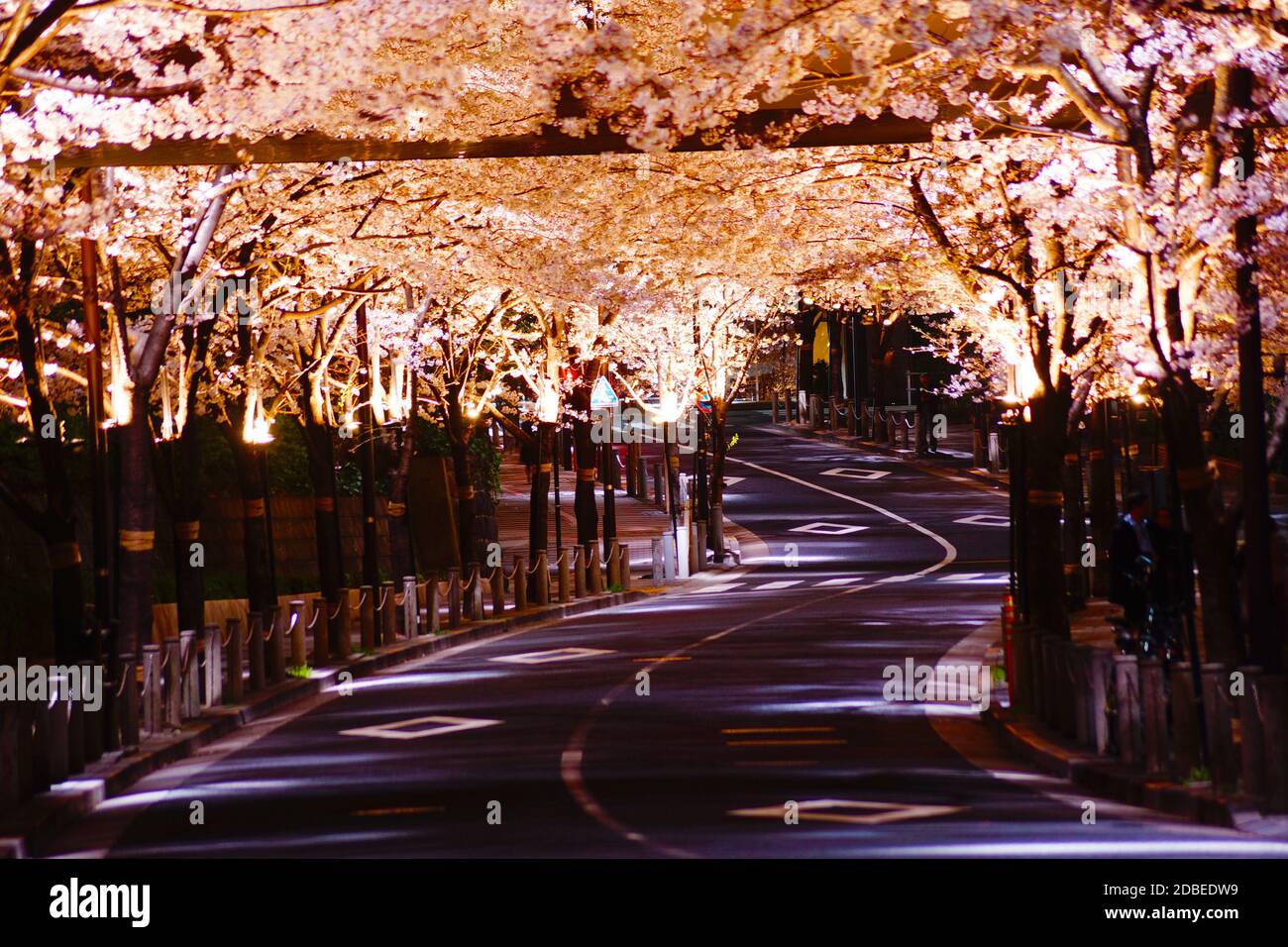 Pink flower tunnel hi-res stock photography and images - Alamy