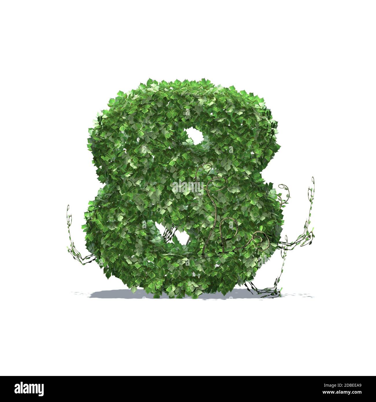 Number 8 leaves hi-res stock photography and images - Alamy