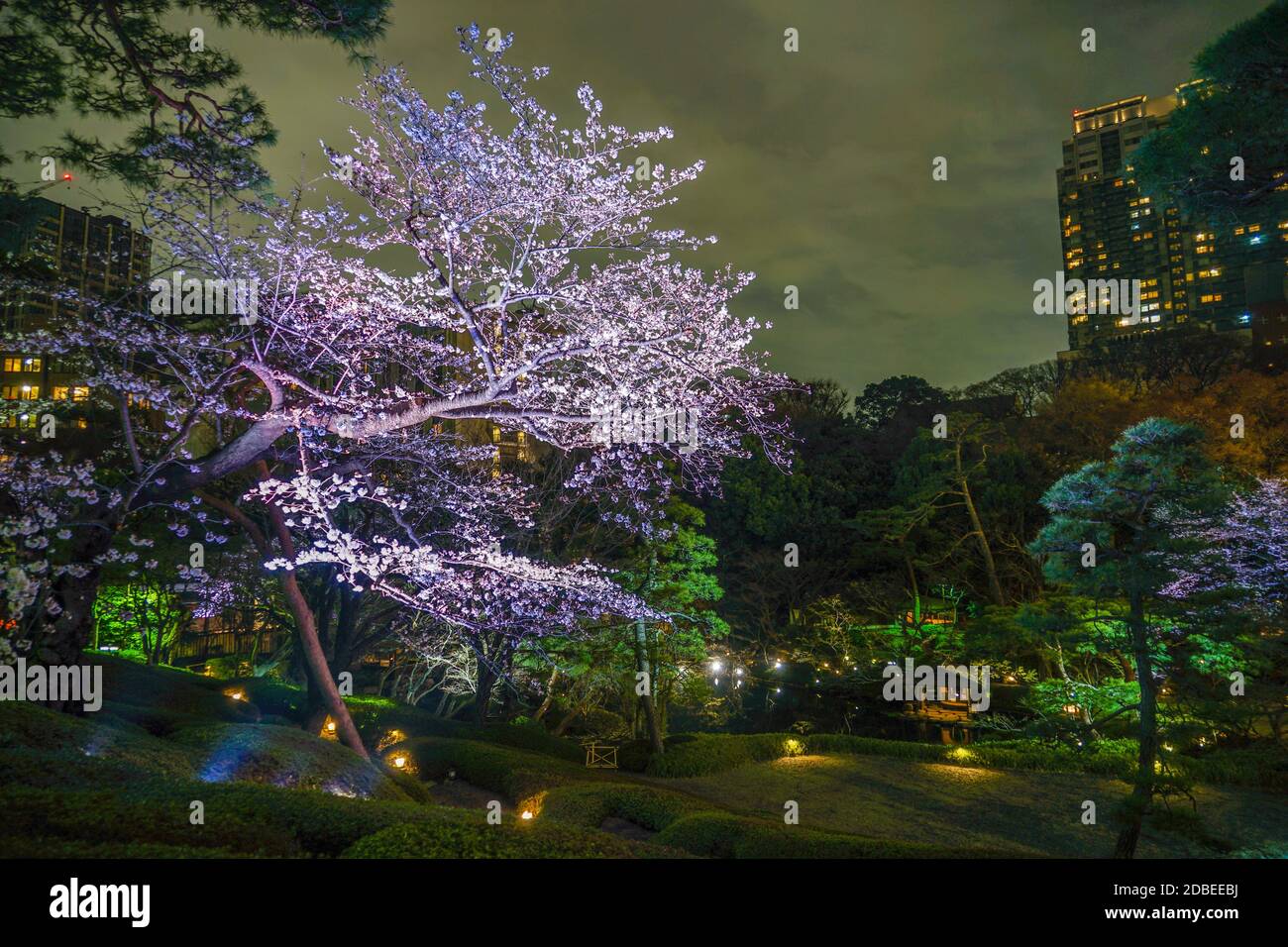 Image of Spring Japanese garden. Shooting Location: Tokyo metropolitan ...