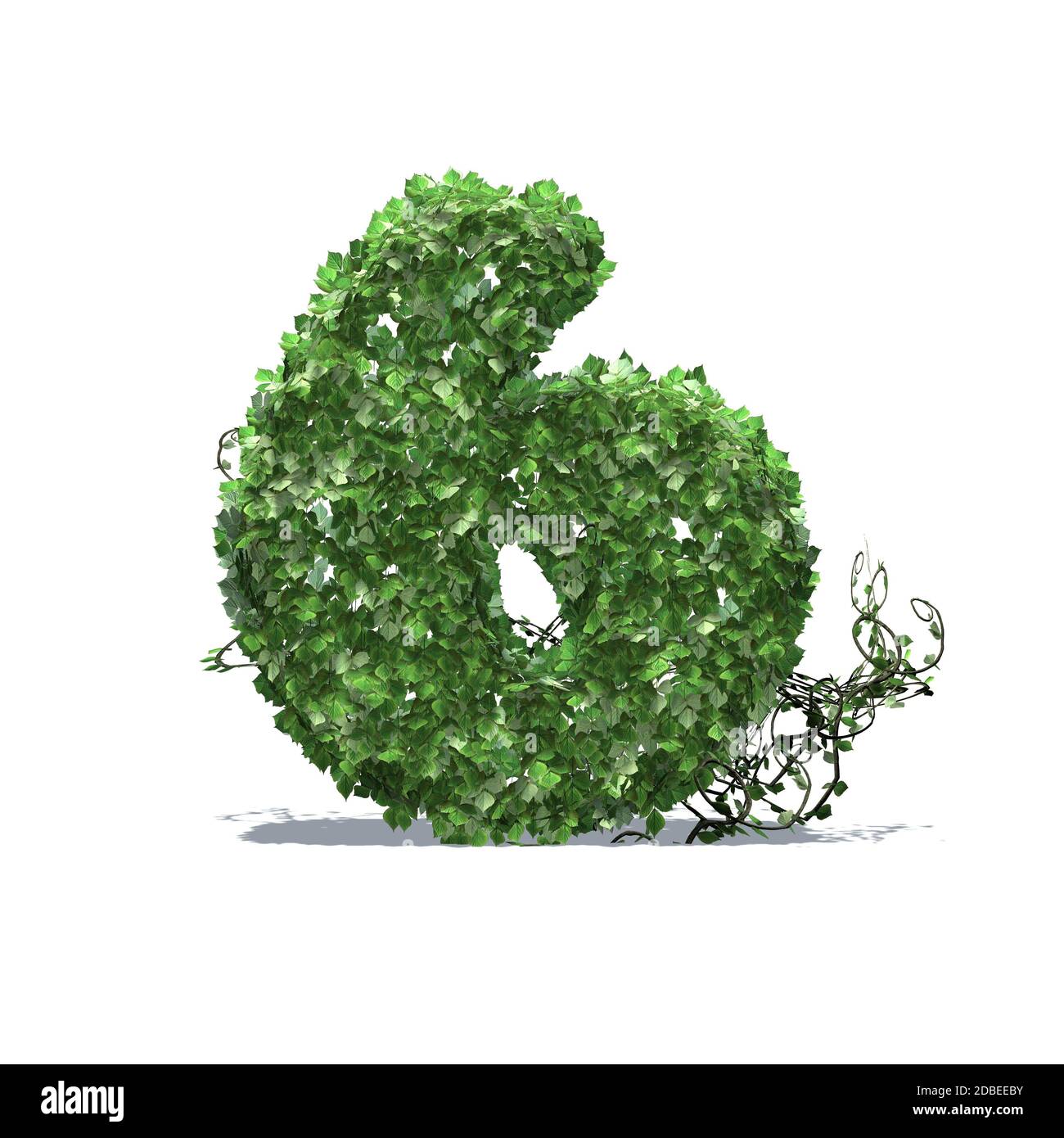 Number 6 created of green ivy leaves with shadow on the floor Stock ...