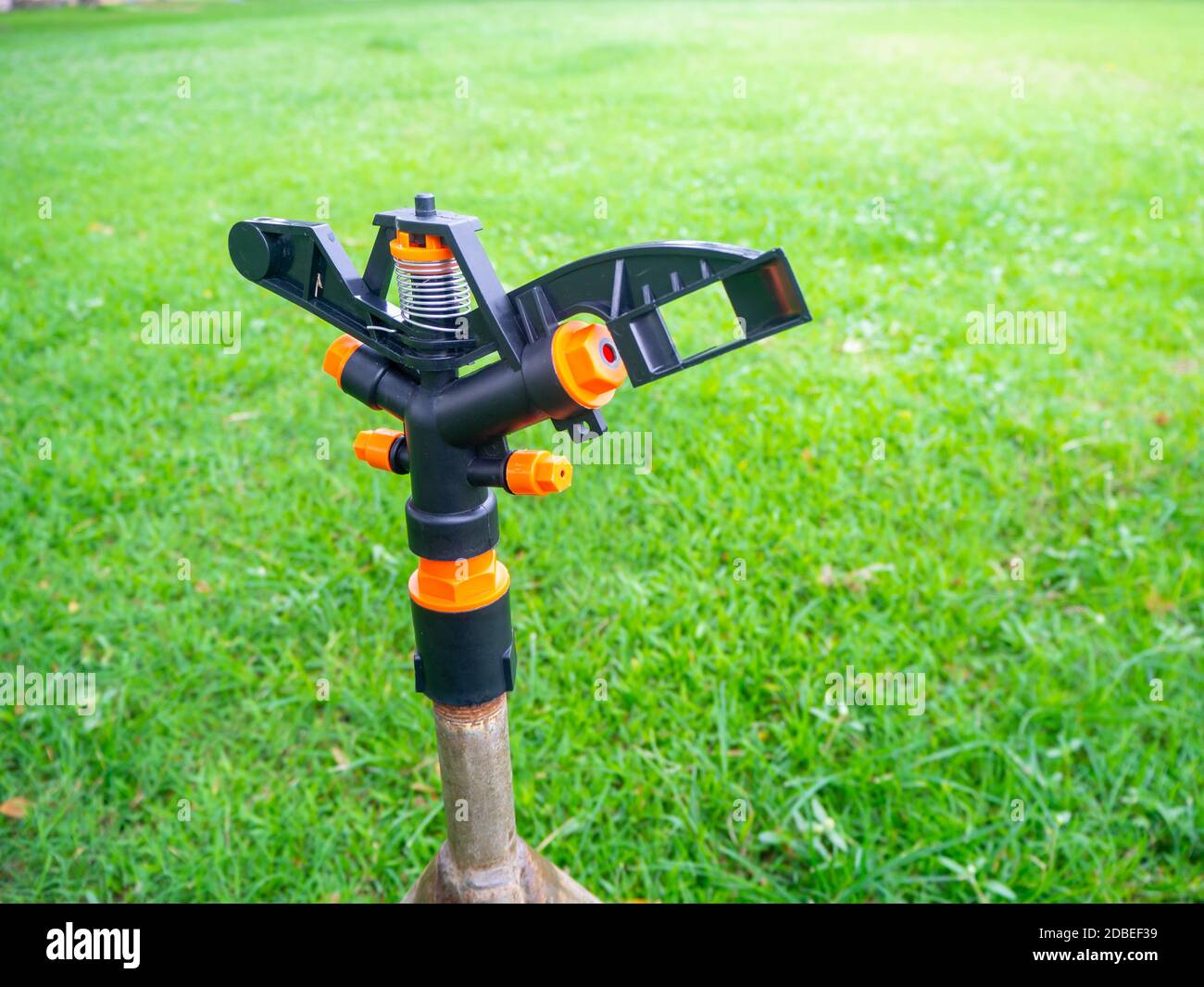 Springer watering plants hi-res stock photography and images - Alamy