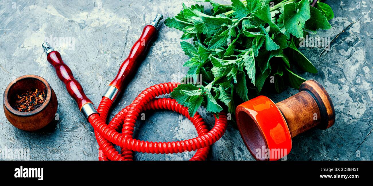 Asian smoking shisha with tobacco with mint flavor.Turkish tobacco ...