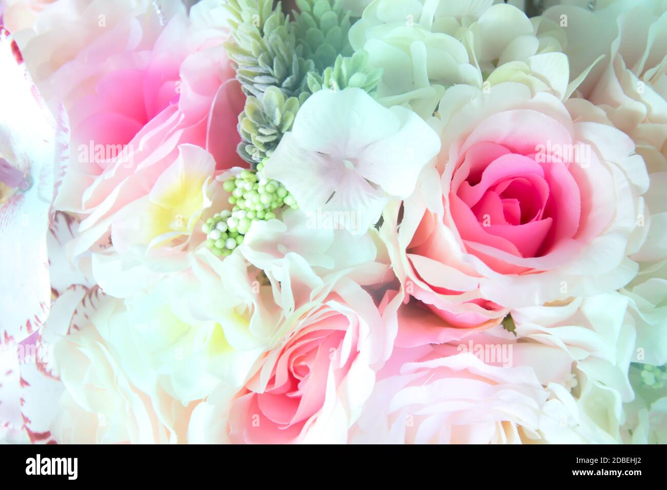 Nice filters hi-res stock photography and images - Alamy