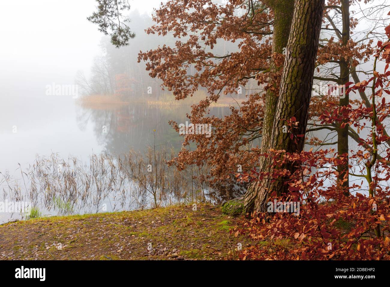 Warmia masuria hi-res stock photography and images - Alamy