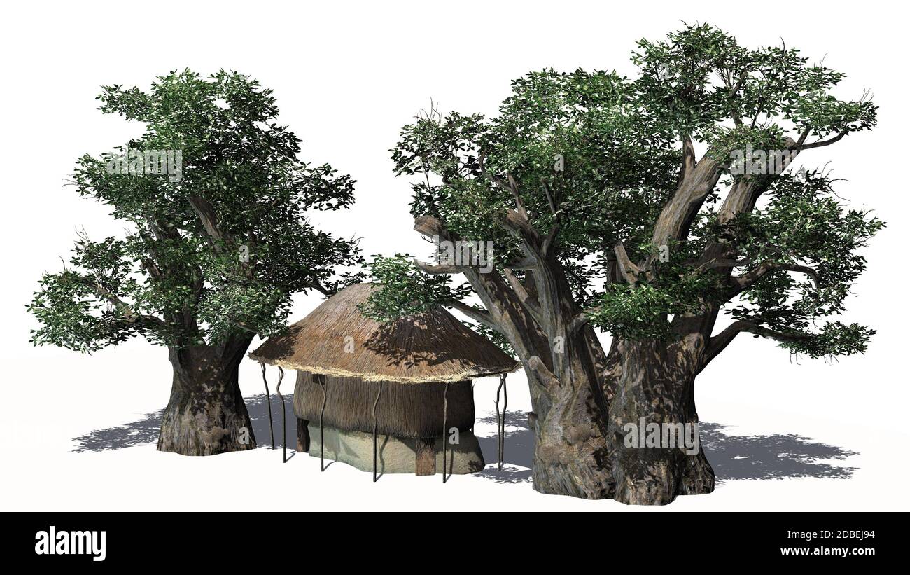 Thatch hut and trees on white background Stock Photo - Alamy