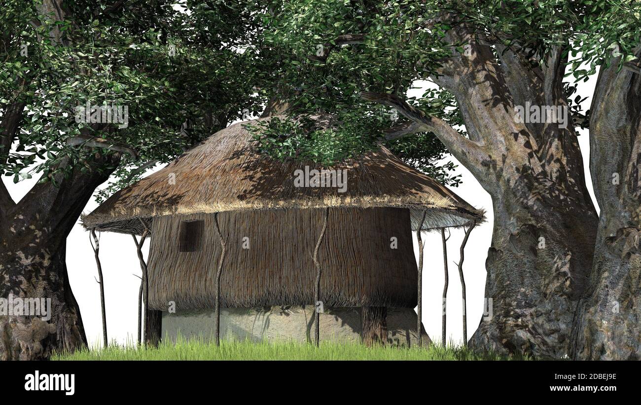 Thatch hut and trees on white background Stock Photo - Alamy