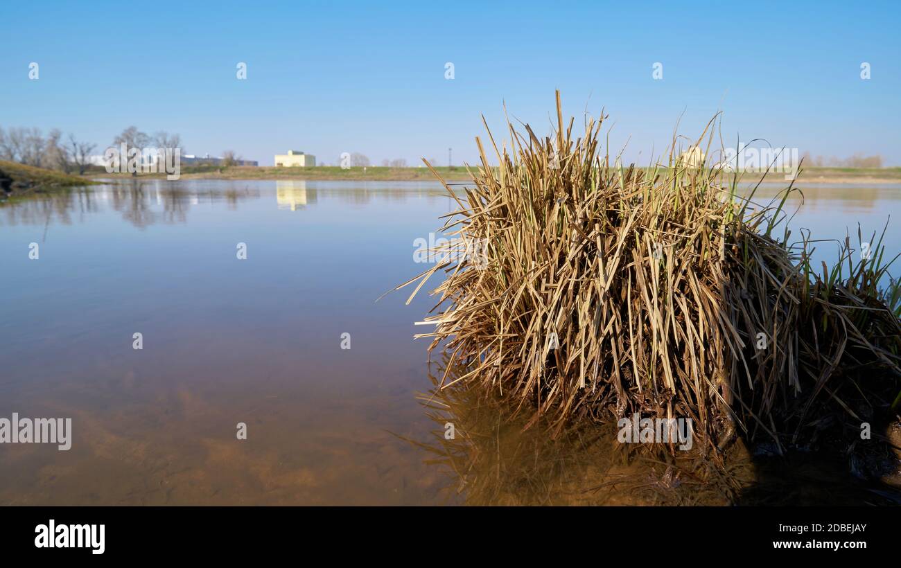 Elbe river cycle hi-res stock photography and images - Alamy