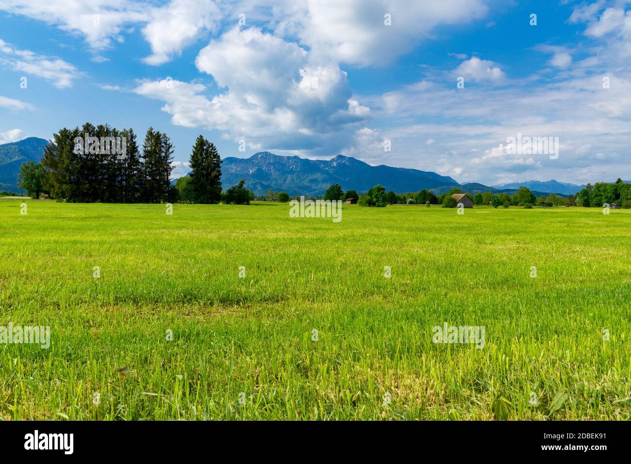 Mowed meadow hi-res stock photography and images - Alamy