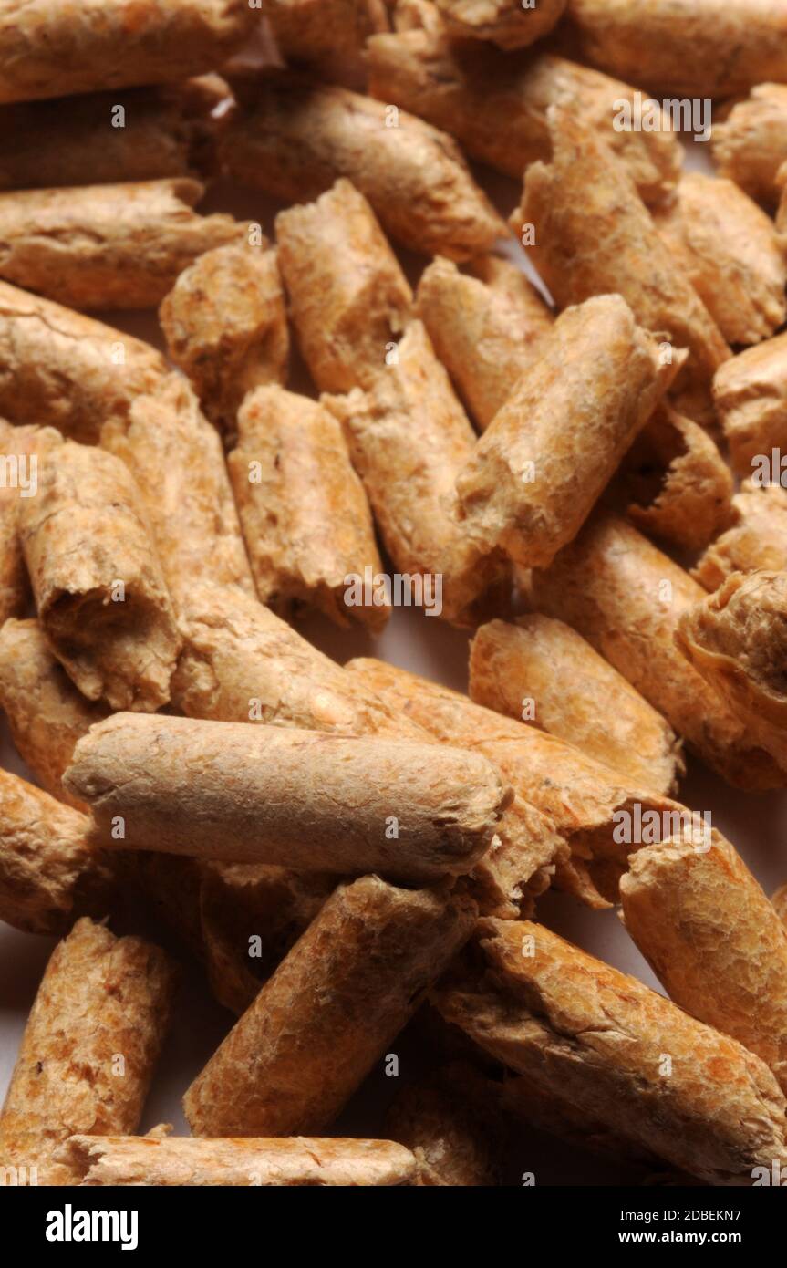Biomass pellet pellets hi-res stock photography and images - Alamy