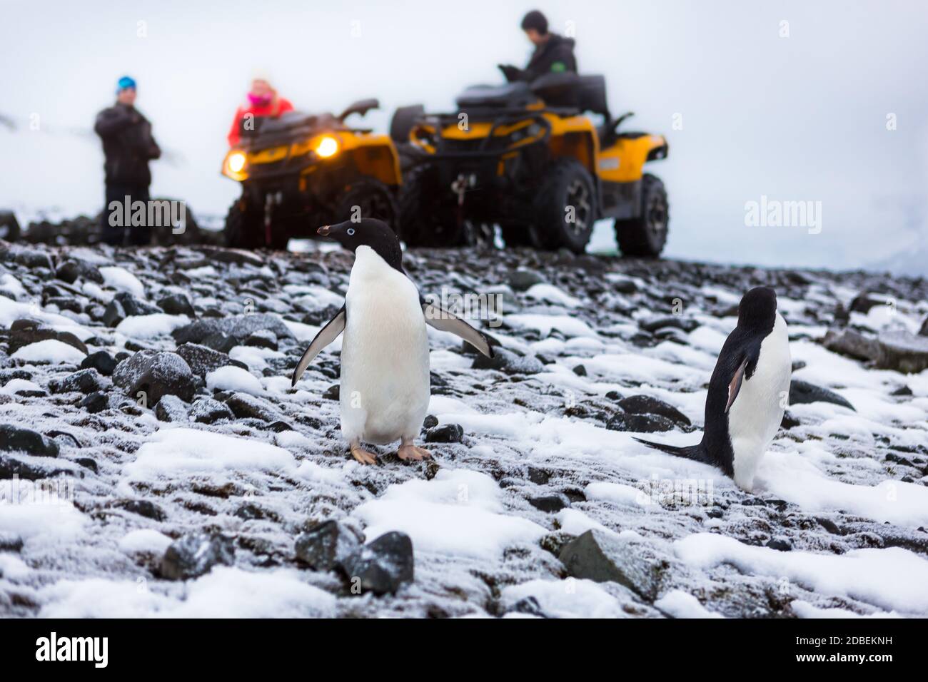 Beautiful landscape and scenery in Antarctica. Freezing Stock Photo - Alamy